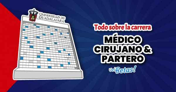 Guía UDG | Descarga la guía de estudio del examen UDG