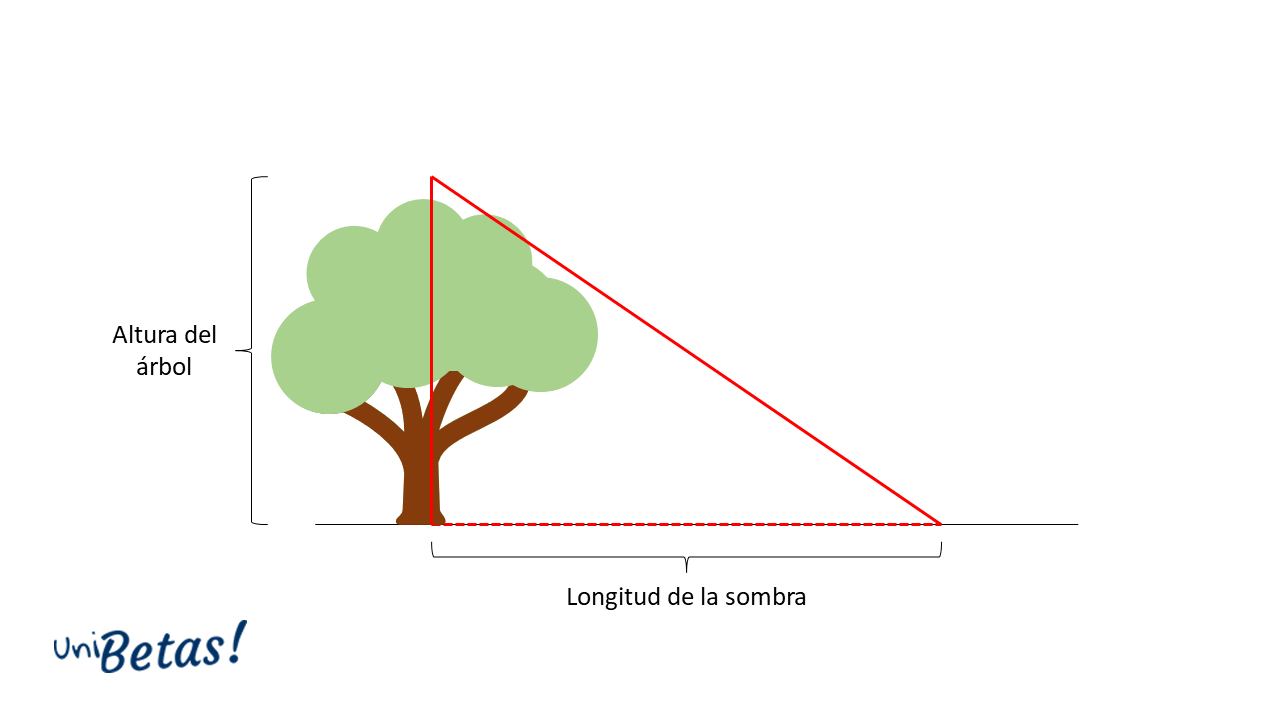 Teorema de Pitágoras: fórmulas, ejemplos y ejercicios resueltos