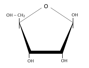 Guía UNAM LCG | Módulo de Química de Ciencias Genómicas