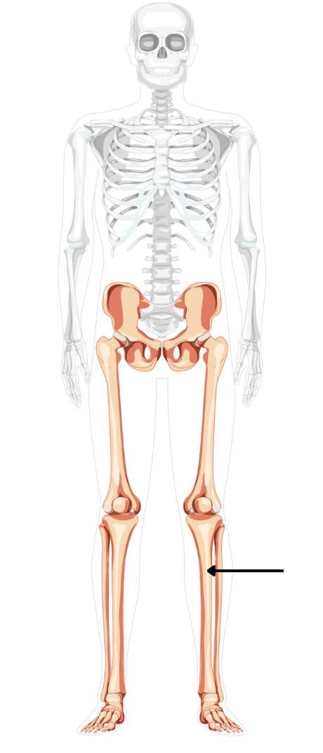 Examen simulador Exani II Ciencias de la Salud Versión 3