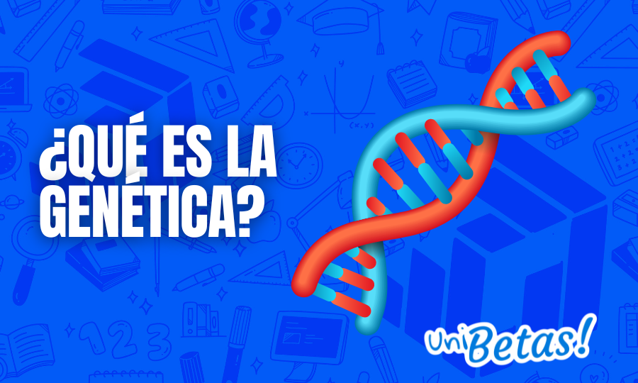 ¿Qué es la genética? Herencia, Leyes de Mendel y ADN